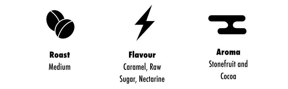 B-Side - Smooth Espresso Blend | dc Coffee – DC Specialty Coffee Roasters